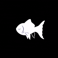 Animated Fish Swimming Gif