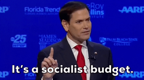 23 GIFs From the Florida Senate Debate by GIPHY News | GIPHY