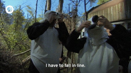 Fall-in-line GIFs - Get the best GIF on GIPHY