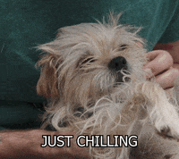 Just Chilling Gif