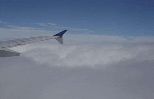 Flying Going Through The GIF by hateplow - Find & Share on GIPHY