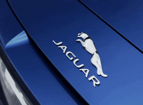 Driving Fast On My Way GIF by Jaguar - Find & Share on GIPHY