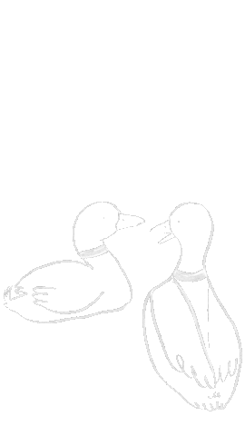 Molly Saunders GIFs on GIPHY - Be Animated