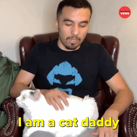 Cat Daddy