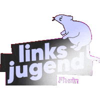 Linksjugend Solid Berlin GIFs on GIPHY - Be Animated