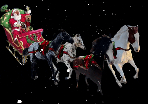Cowboy Christmas GIFs - Get the best GIF on GIPHY