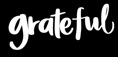 Grateful GIF - Find & Share on GIPHY