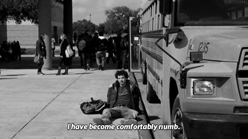 Comfortably-numb GIFs - Get the best GIF on GIPHY