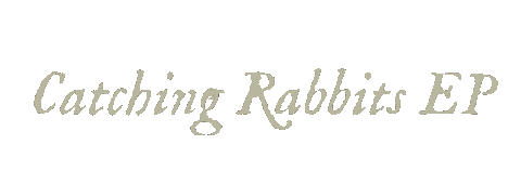 Catching Rabbits GIFs on GIPHY - Be Animated