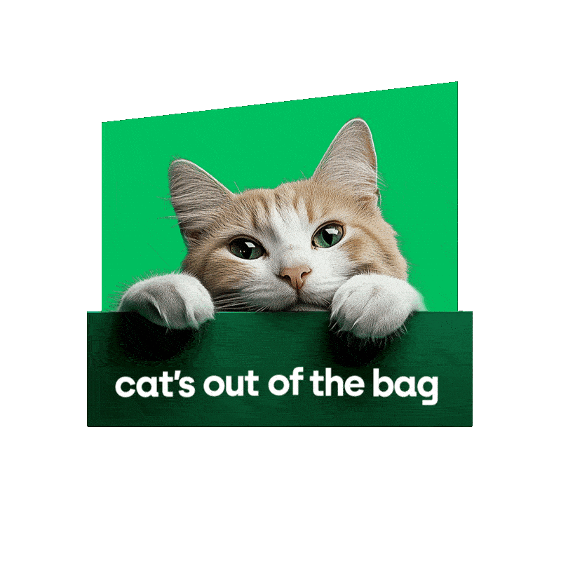 DRB Tagline Campaign - Cat GIFs on GIPHY - Be Animated