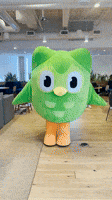 Duolingo GIFs on GIPHY - Be Animated