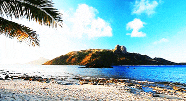 Palawan GIFs - Find & Share on GIPHY