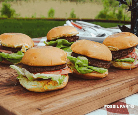 Sliders GIFs - Get the best GIF on GIPHY