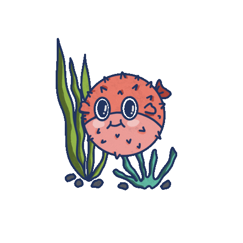 Cute Puffer Fish Gif
