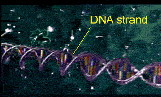 Rna GIFs - Find & Share on GIPHY