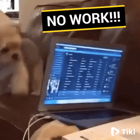 No Work GIFs - Get the best GIF on GIPHY