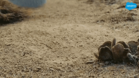 Moon Boots GIFs - Get the best GIF on GIPHY