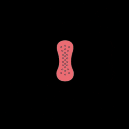 Period. GIF - Find & Share on GIPHY