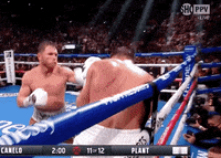 Knockout Gif