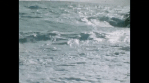 Ocean Waves GIF by Mallrat - Find & Share on GIPHY