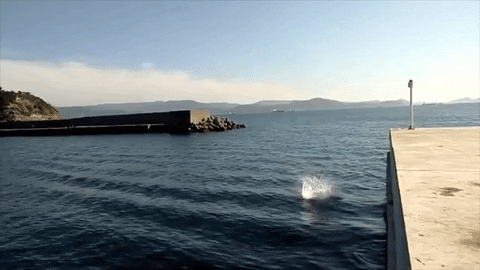 Trials Evolution GIFs - Get the best GIF on GIPHY