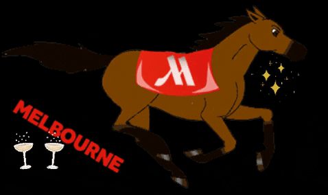 Sydney Harbour Marriott GIFs - Get the best GIF on GIPHY