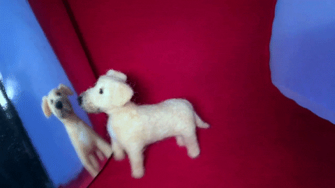 Dog Looking In Mirror GIFs - Get the best GIF on GIPHY