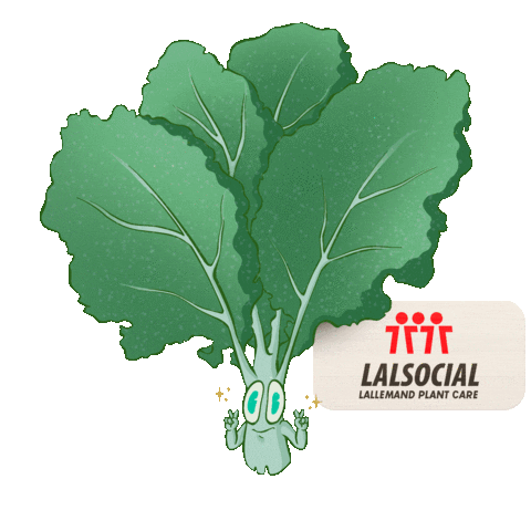 Lettuce Sustentavel Sticker by Lallemand Plant Care Brasil for iOS ...
