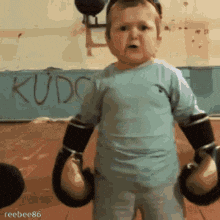 Kudo GIFs - Get the best GIF on GIPHY