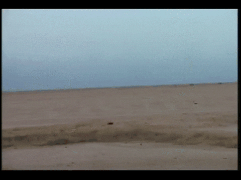 Landmines GIFs - Get the best GIF on GIPHY