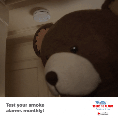 Smoke Alarm GIFs - Get the best GIF on GIPHY