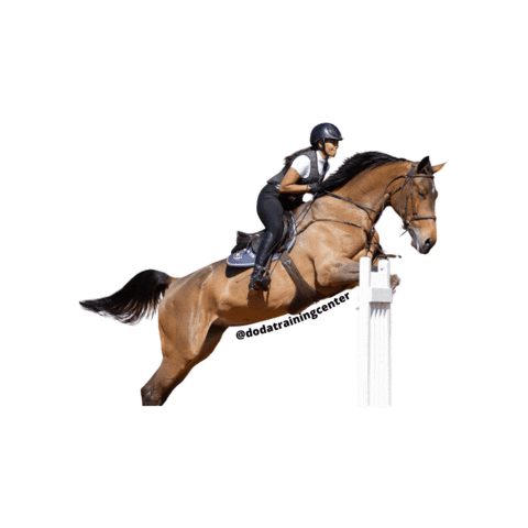 Doda Training Center GIFs on GIPHY - Be Animated