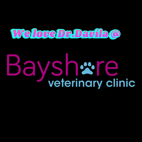 Bayshore Veterinary Clinic GIFs on GIPHY - Be Animated