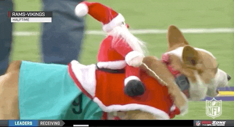 Receivers GIFs - Get the best GIF on GIPHY