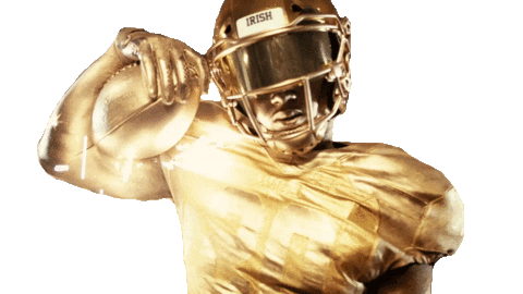Football Nd Sticker by Notre Dame Fighting Irish for iOS & Android | GIPHY