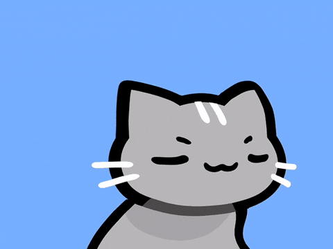Happy Cat Gif Dancing