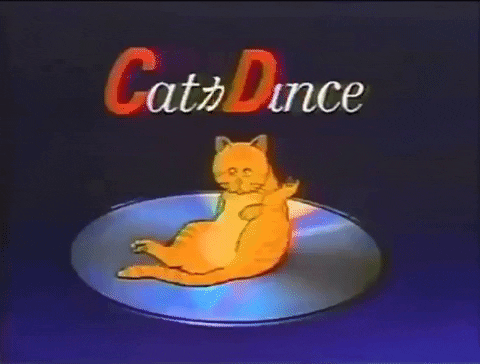 Cat Dance GIFs on GIPHY - Be Animated