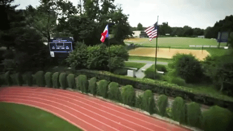 American University GIF - Find & Share on GIPHY