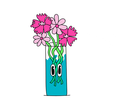 Water Celebrate GIF - Find & Share on GIPHY