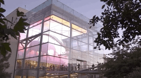 Booth-museum GIFs - Get the best GIF on GIPHY