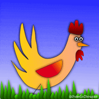 Le coq Saturnin va pouvoir continuer à chanter - France - Forum Fr