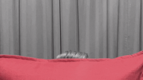 Peek A Boo GIF by Jennifer Zamudio - Find & Share on GIPHY