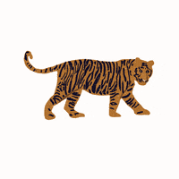 Tiger Roaring Tumblr Gif