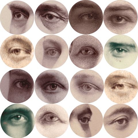 Square-array GIFs - Get the best GIF on GIPHY