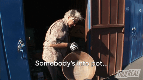 Somebodys-into-pot GIFs - Get the best GIF on GIPHY