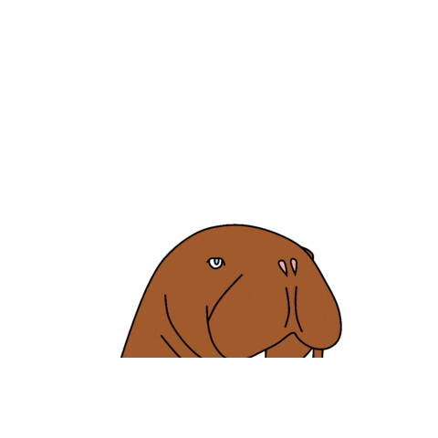 Pop Up Hello Sticker for iOS & Android | GIPHY