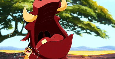 Timon And Pumba GIFs - Find & Share on GIPHY