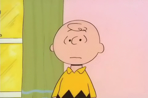 Youre Not Elected Charlie Brown GIF by Peanuts - Find & Share on GIPHY