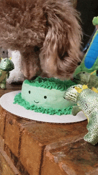 Birthday Cake Dog Gif