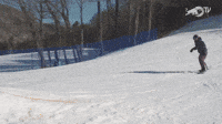 Bobsled GIFs - Get the best GIF on GIPHY